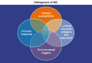 Pathophysiology – IBD Strive
